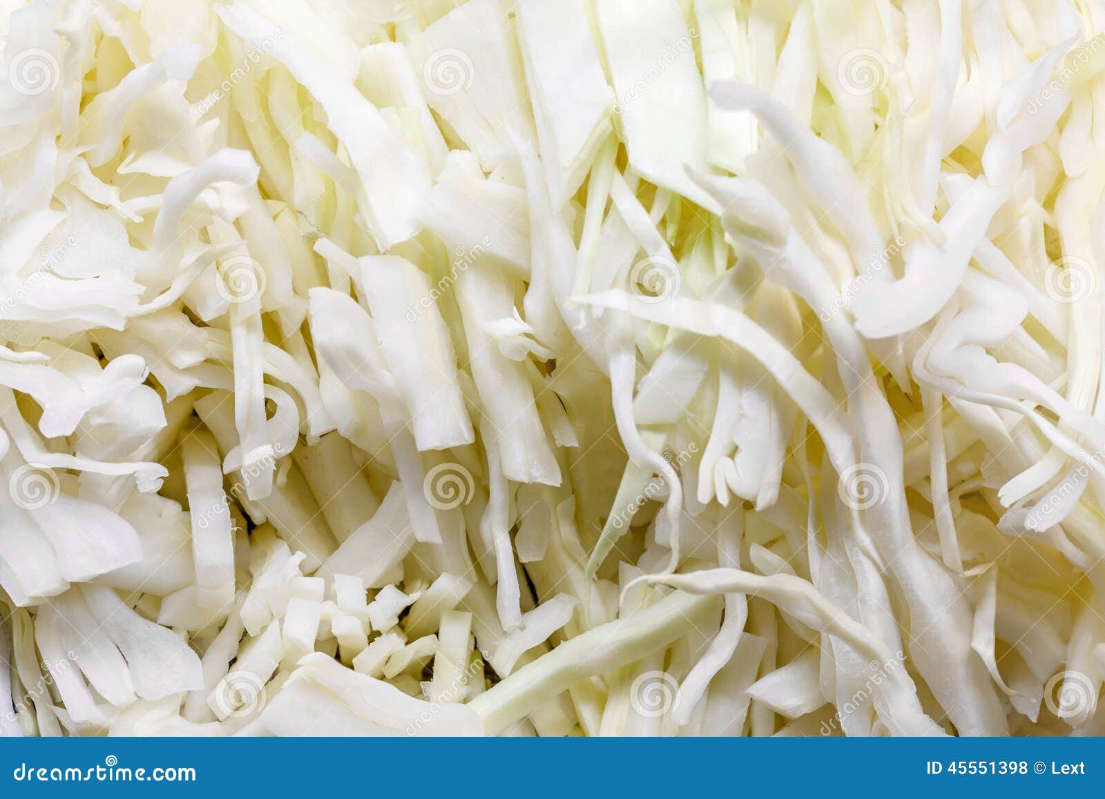 Sliced cabbage salad stock photo. Image of nature, organic - 45551398