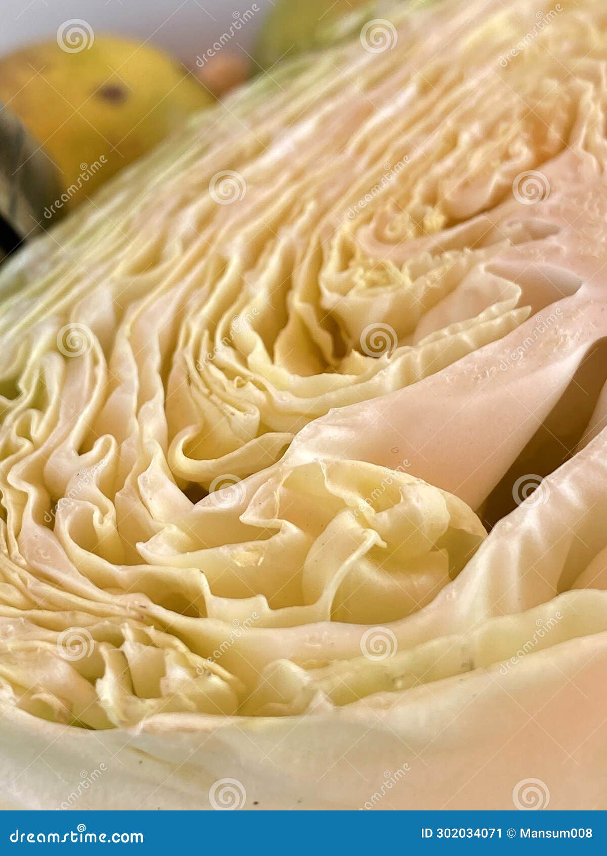 Sliced Cabbage On The Table, Chopped Cabbage, Cabbage, Or Wombok ... Sliced Cabbage On The Table, Chopped Cabbage, Cabbage, Or Wombok ...