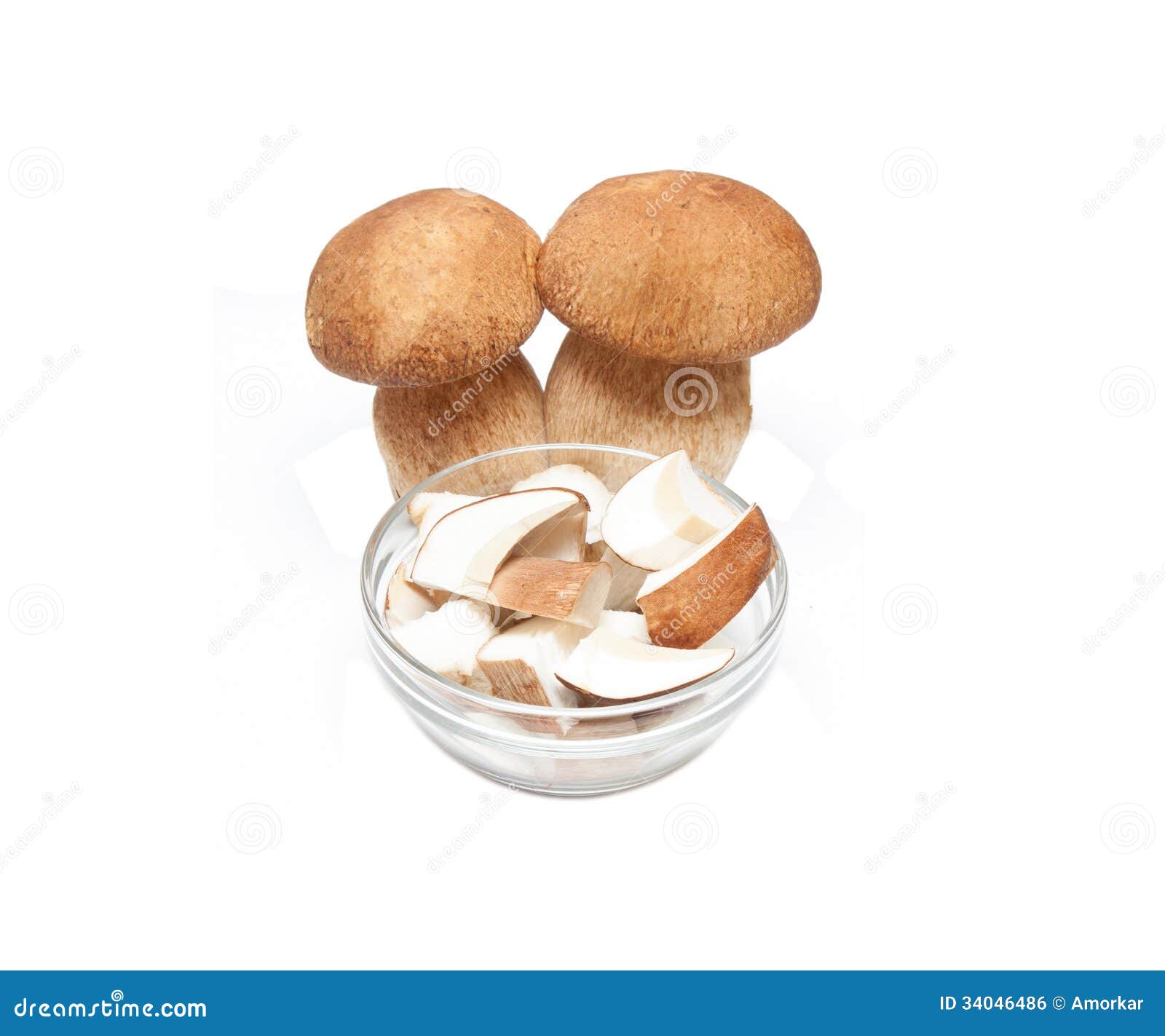 Sliced cep stock photo. Image of ingredient, nature, sliced - 34046486