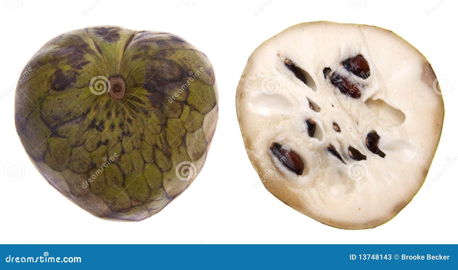 Sliced Cherimoya stock image. Image of round, clipping - 13748143