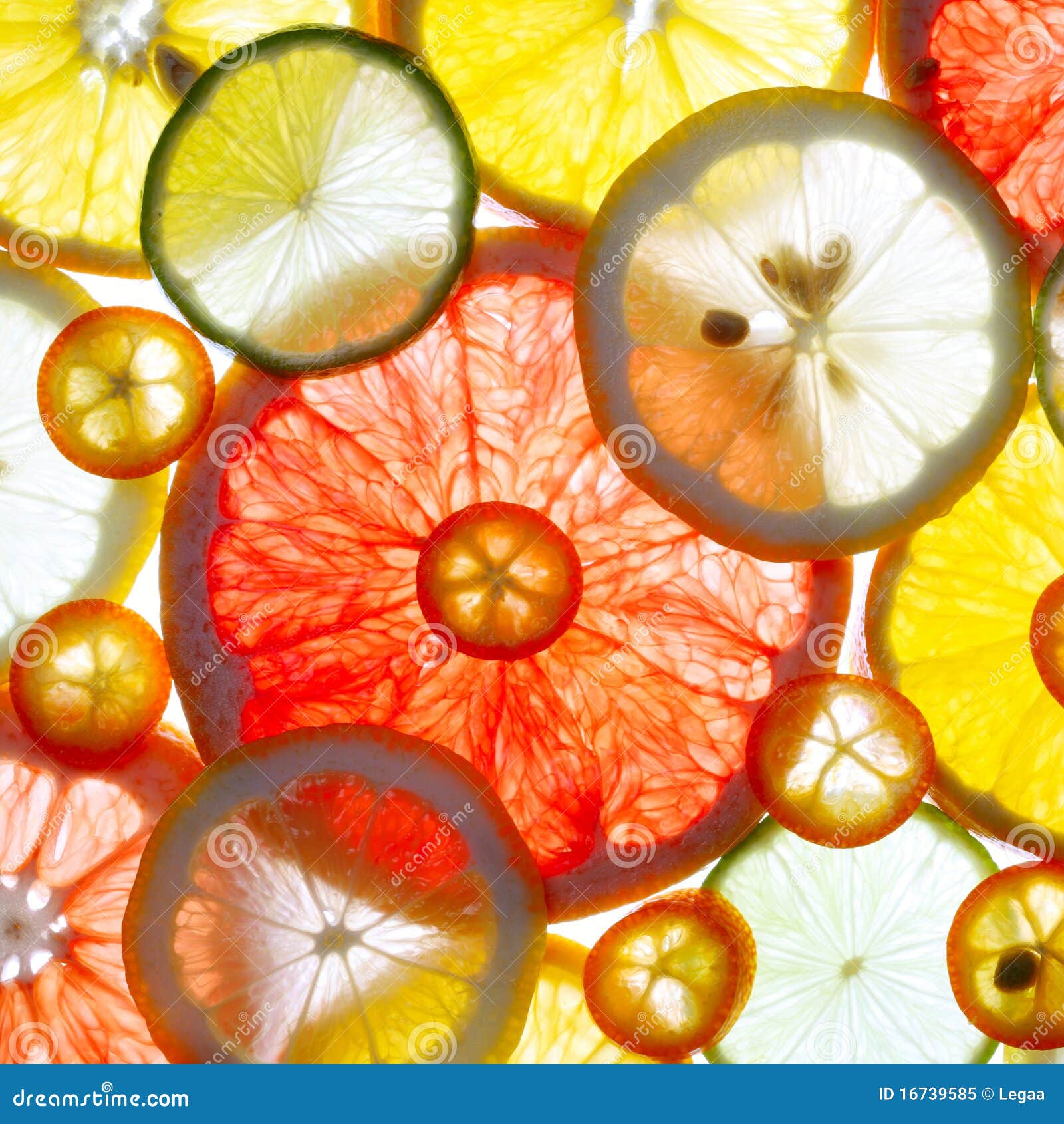 Sliced citrus fruits stock image. Image of healthy, meal - 16739585
