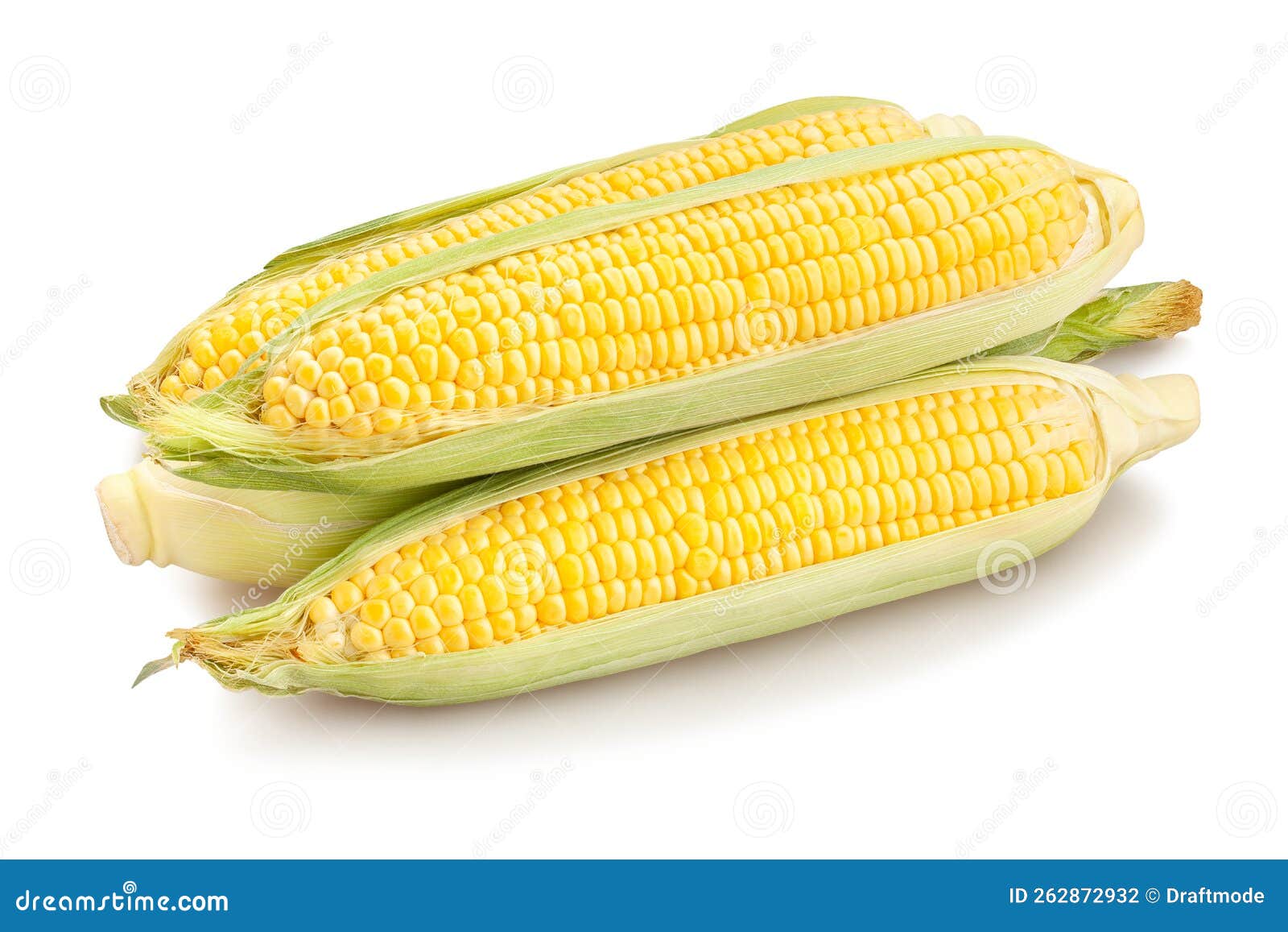Sliced corn path isolated stock photo. Image of yellow - 262872932