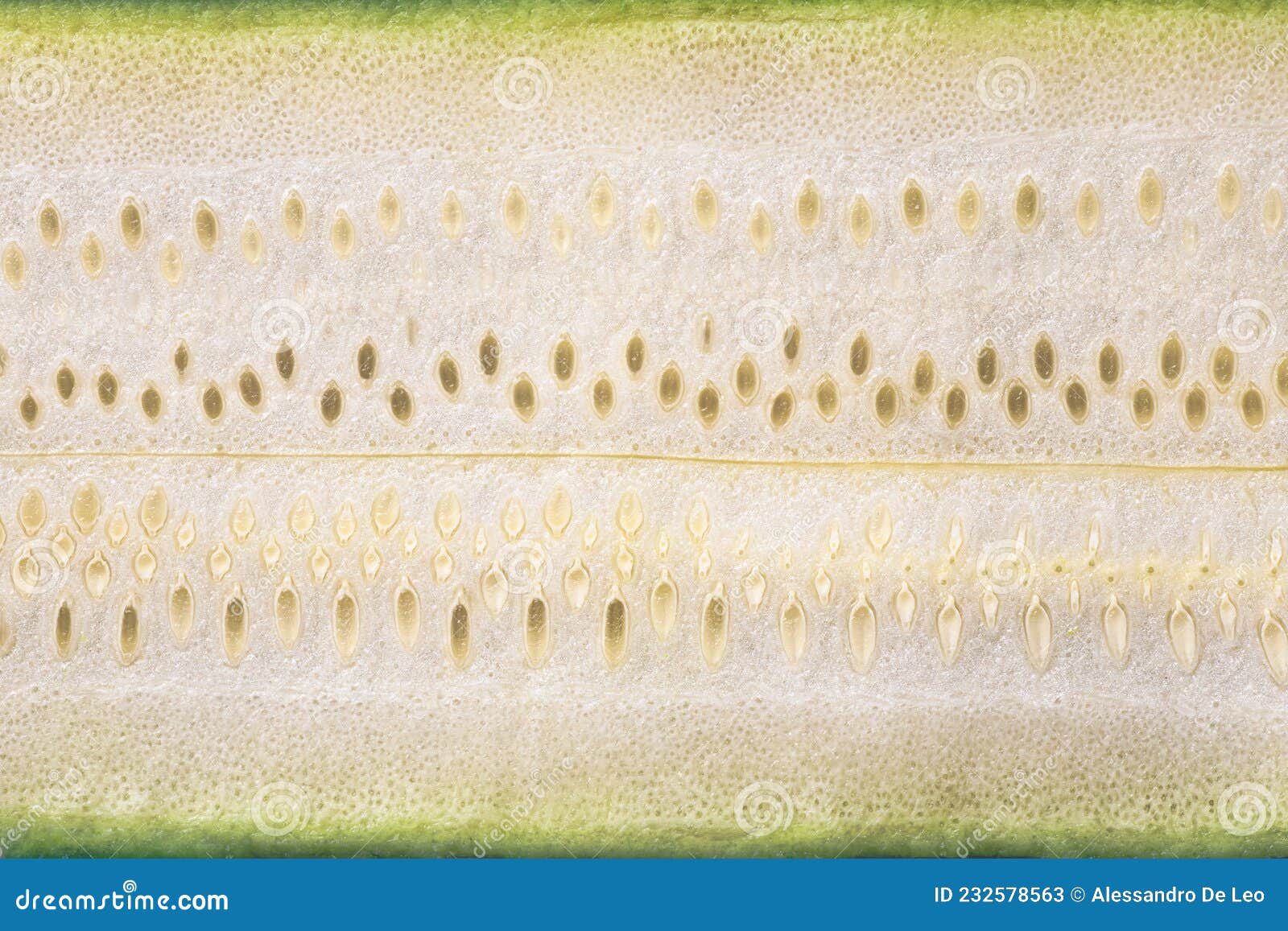 Sliced Courgette Close-Up stock image. Image of food - 232578563