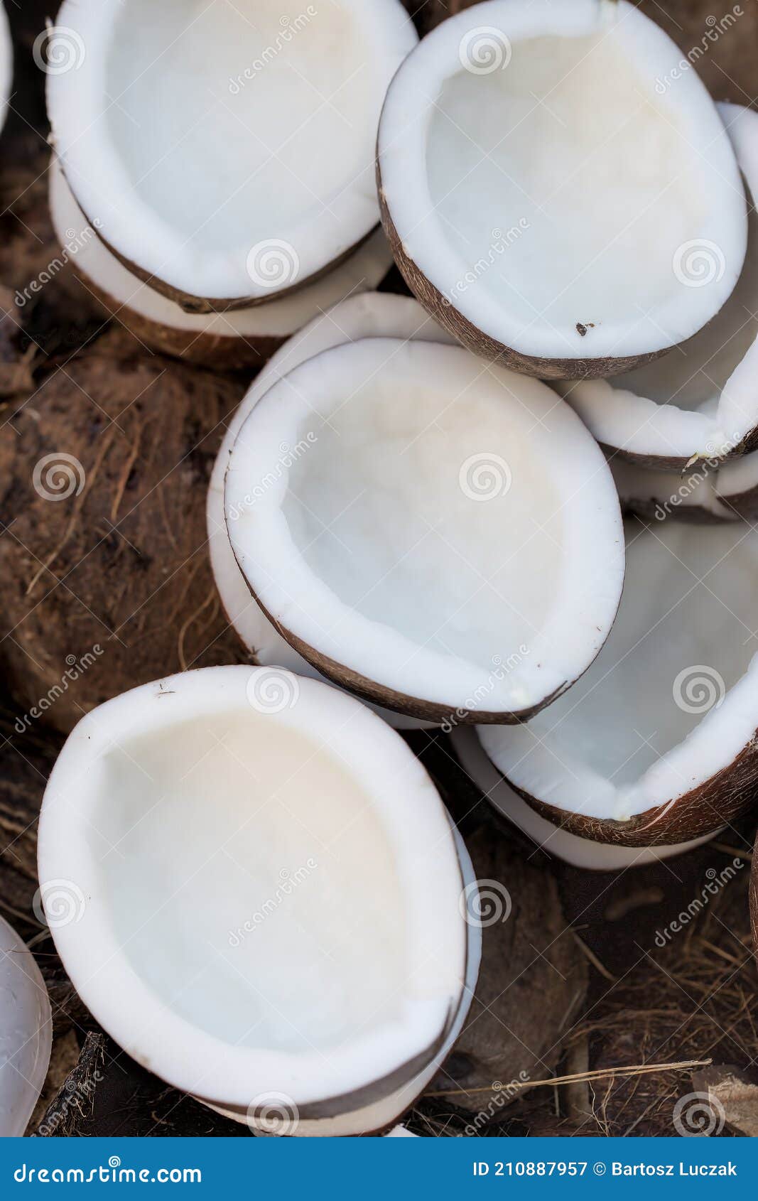 Sliced Cut, Coconut in Shell Pieces, Morocco Stock Image - Image of ...