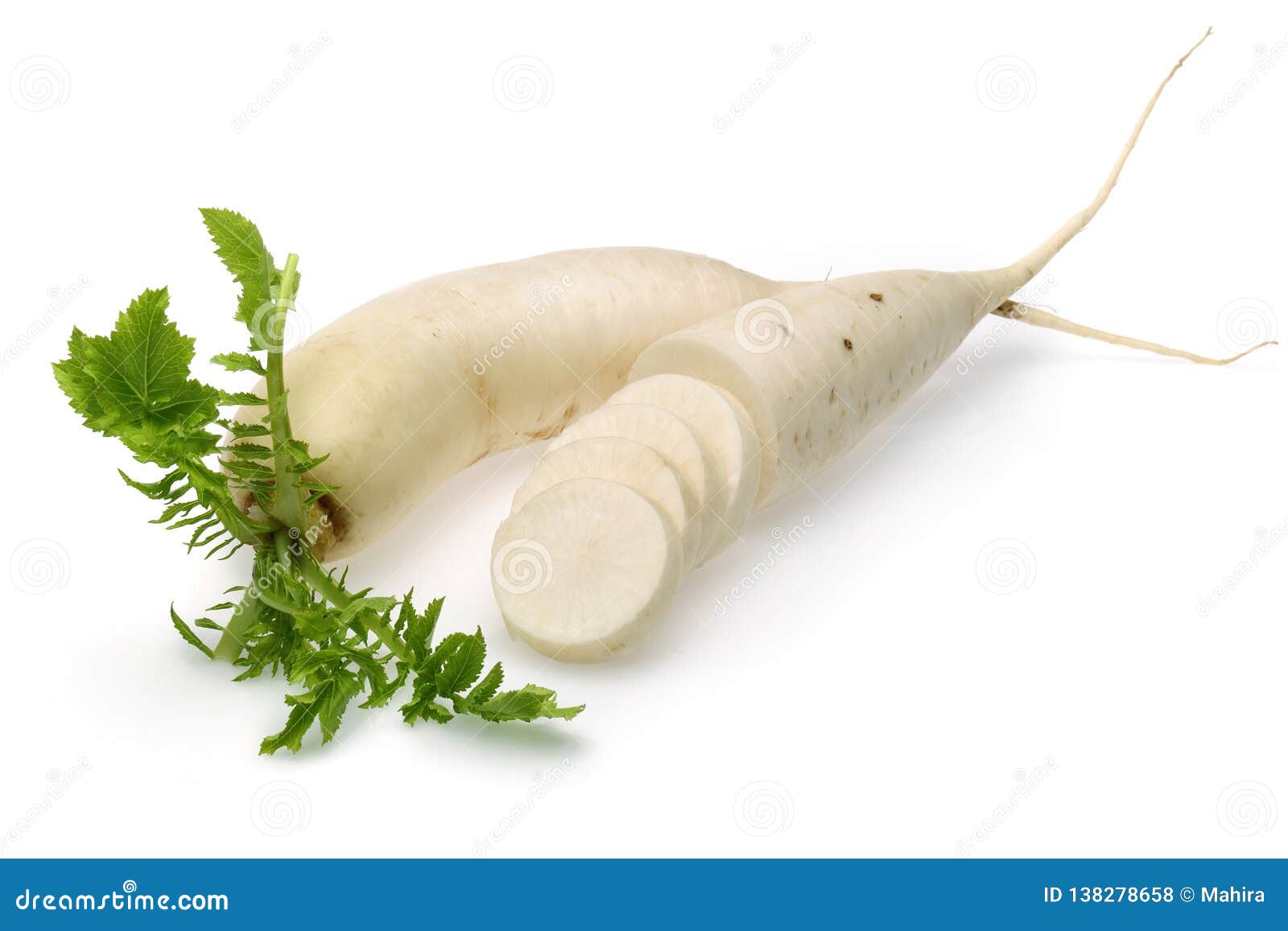 Daikon White Radish Mooli Whiteradish Miyashige-radish Raphanus Sativus ...