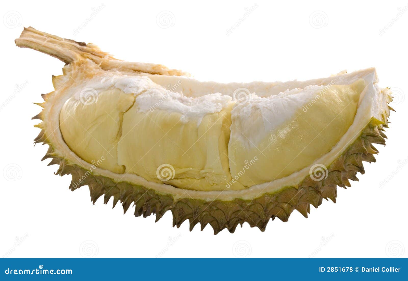 Sliced Durian Isolated stock photo. Image of fruit, preparing - 2851678
