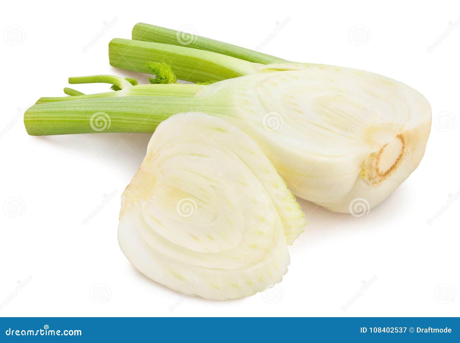 Fennel stock image. Image of exotic, group, diet, slice - 108402537