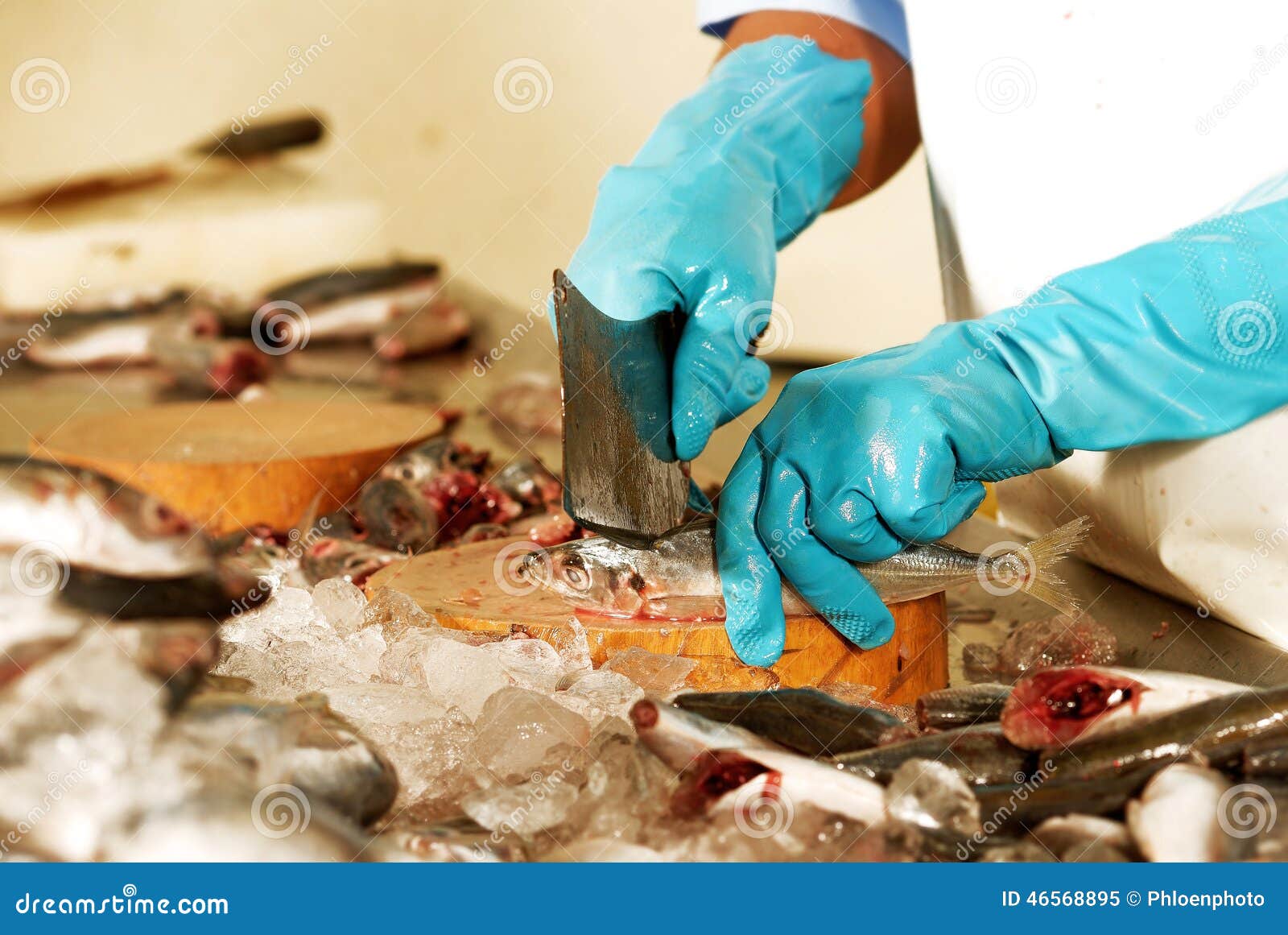 Sliced fish stock image. Image of fishing, close, slice - 46568895
