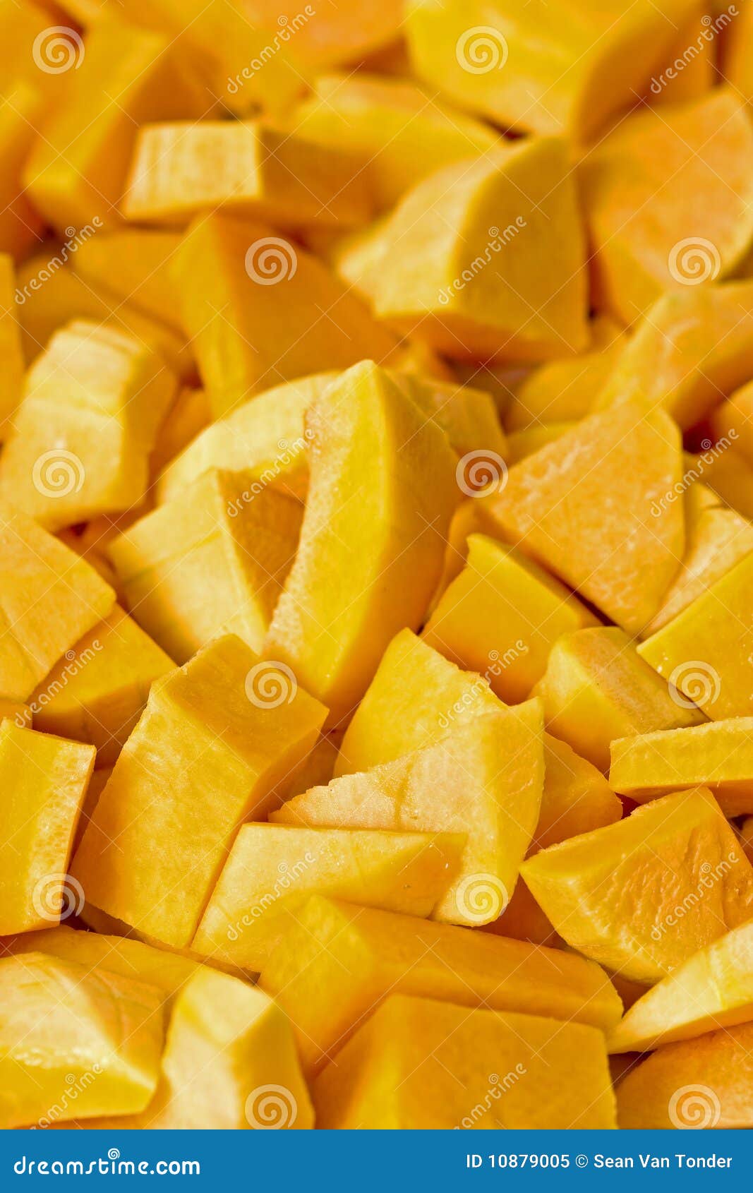 Sliced fresh butternut stock image. Image of sweet, butternut - 10879005