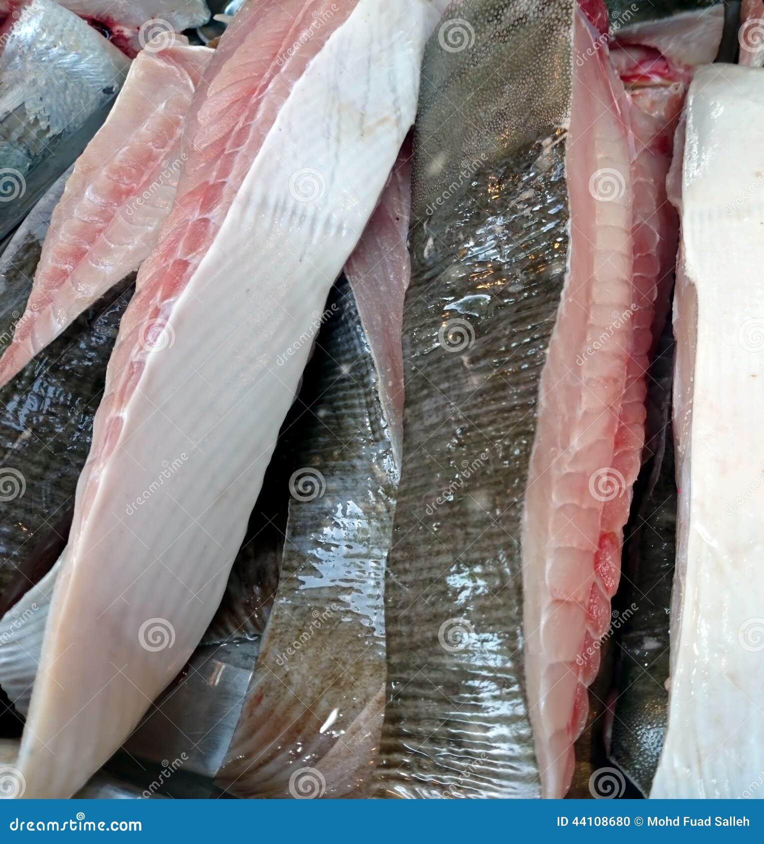 Sliced fresh stingray stock photo. Image of protein, healthy - 44108680