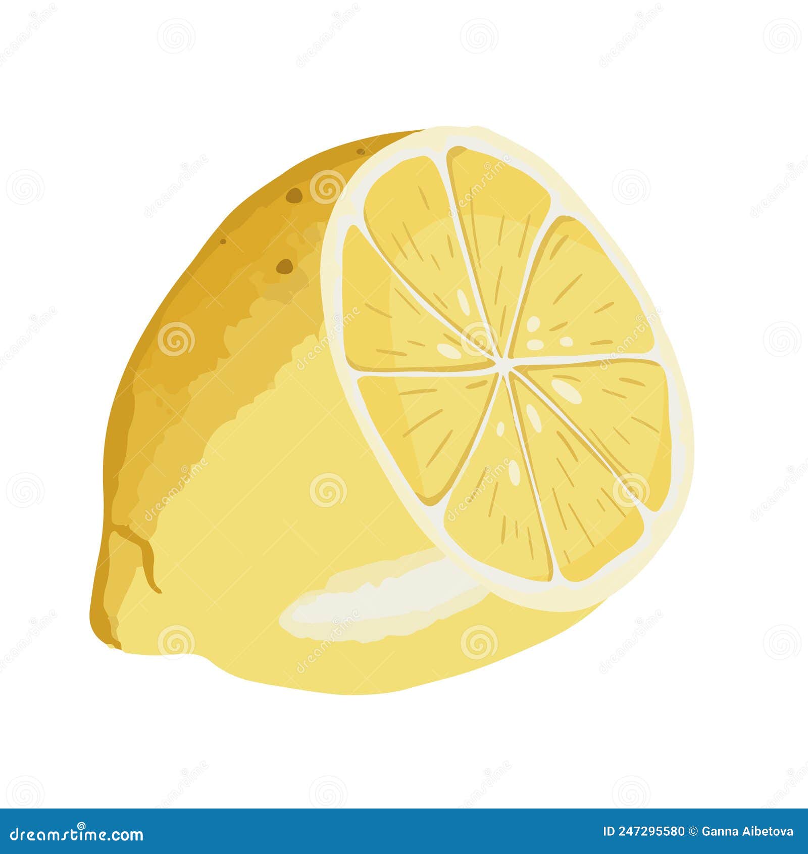 Sliced Fresh Yellow Lemon. Vector Fruit Illustration Cut Out Stock ...