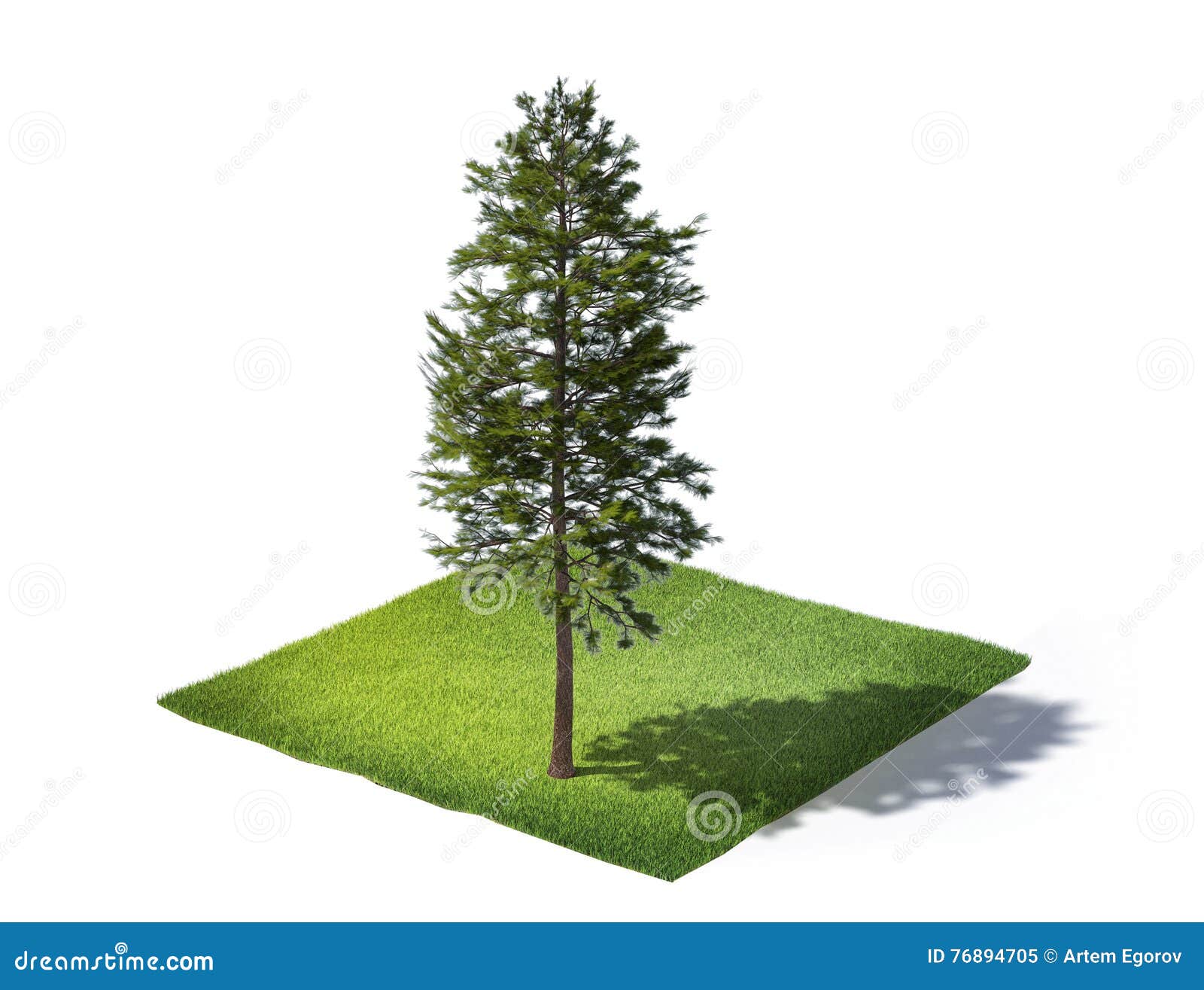 Sliced Ground with Grass and Tree Isolated on White Stock Image - Image ...