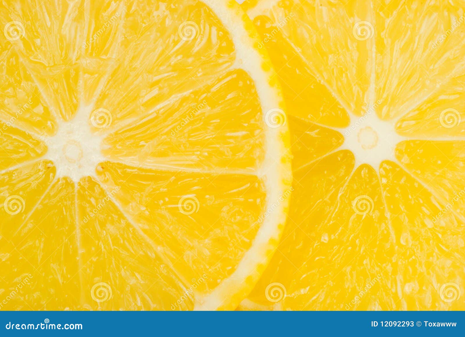 Sliced lemon stock image. Image of gourmet, crop, food - 12092293