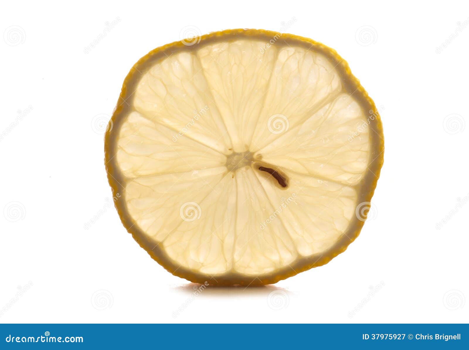Sliced lemon stock image. Image of fruit, slice, sliced - 37975927