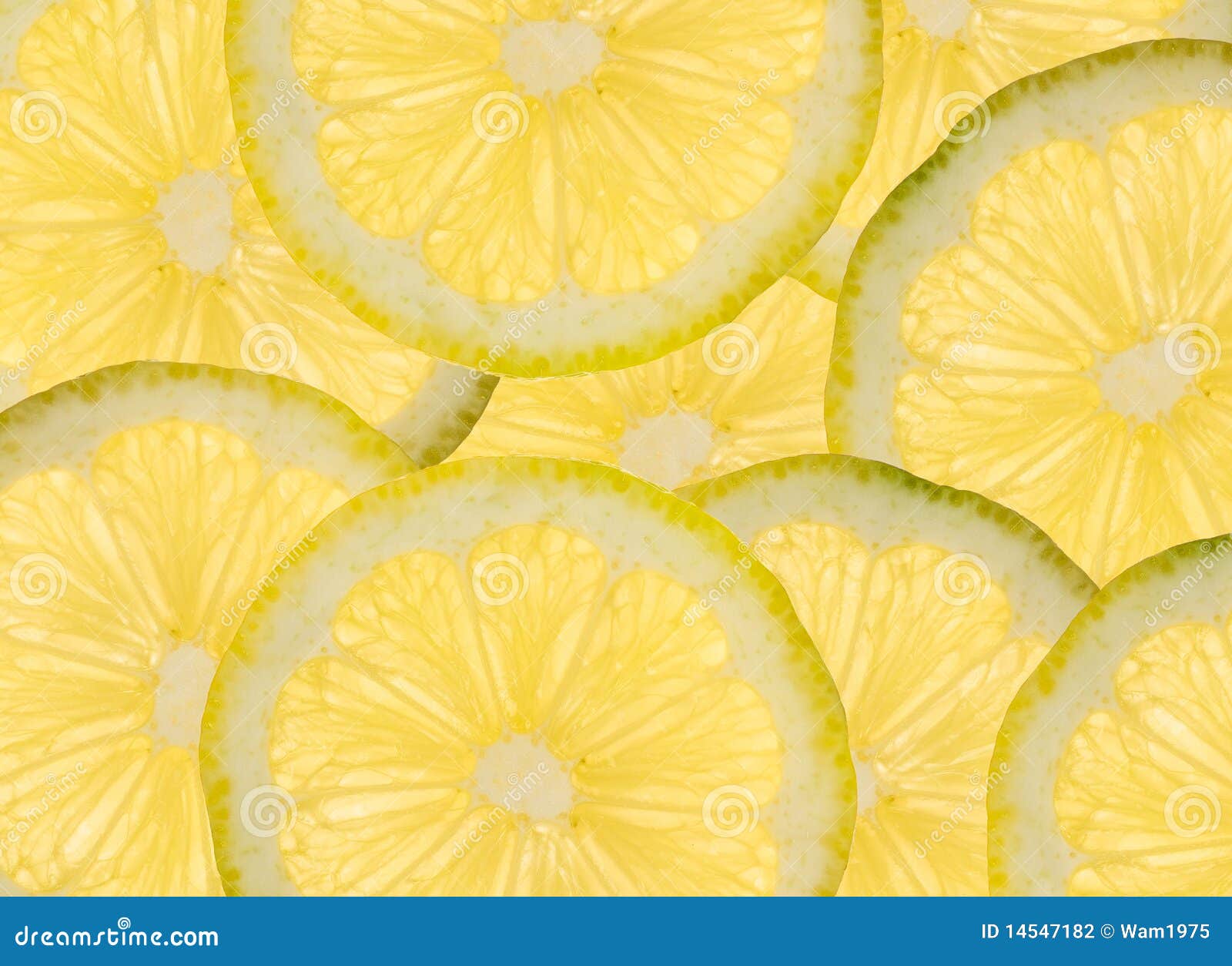 Sliced lemons background stock photo. Image of macro - 14547182