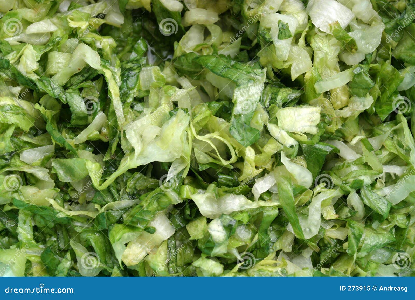 Sliced lettuce texture stock image. Image of dinner, green - 273915