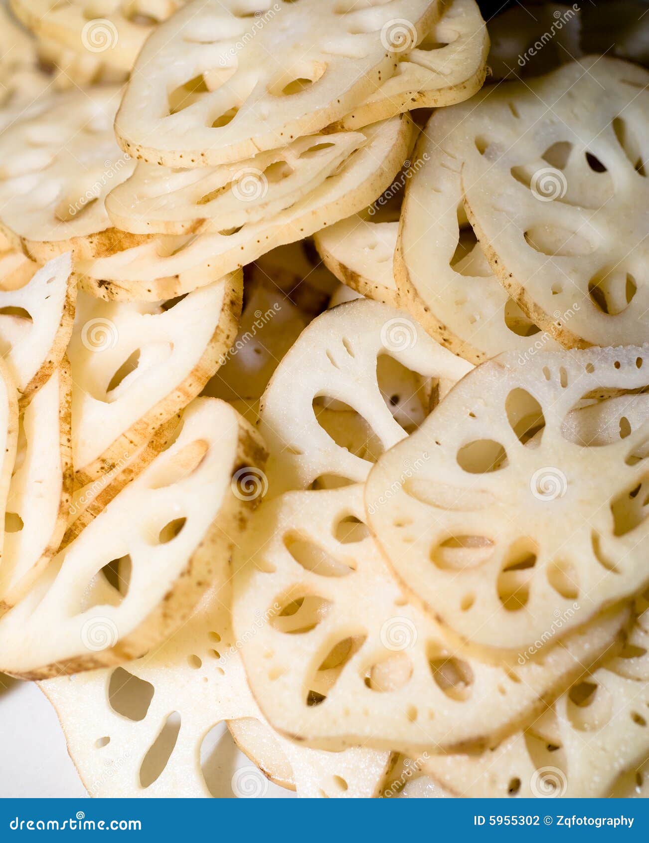 Sliced lotus root stock photo. Image of root, plate, macro - 5955302