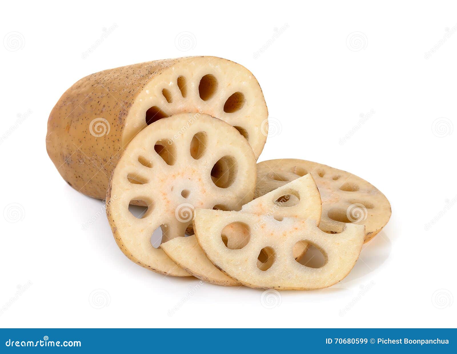Sliced Lotus Root Isolated on the White Background Stock Image - Image ...