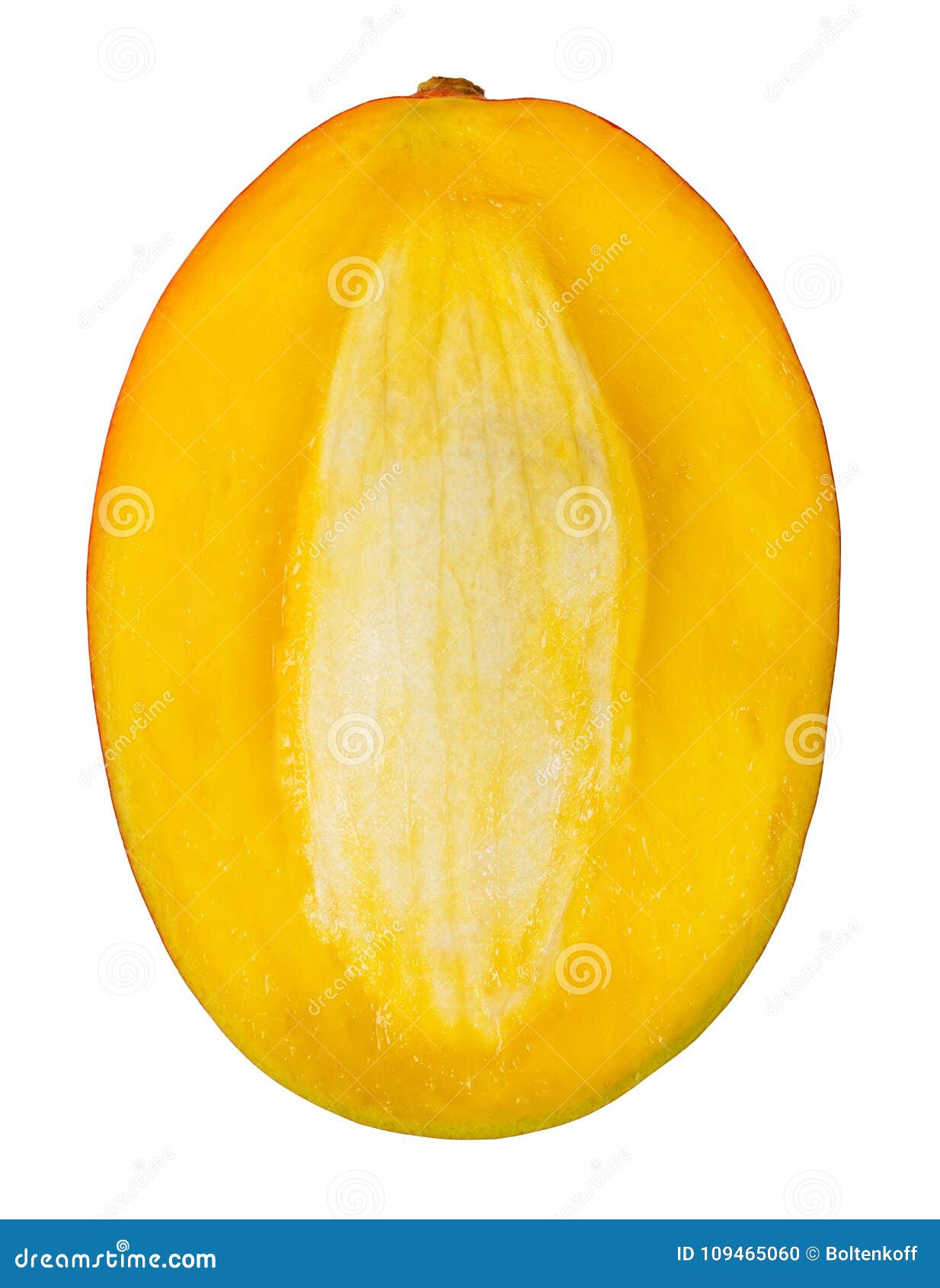 Mango isolated on white stock photo. Image of white - 109465060