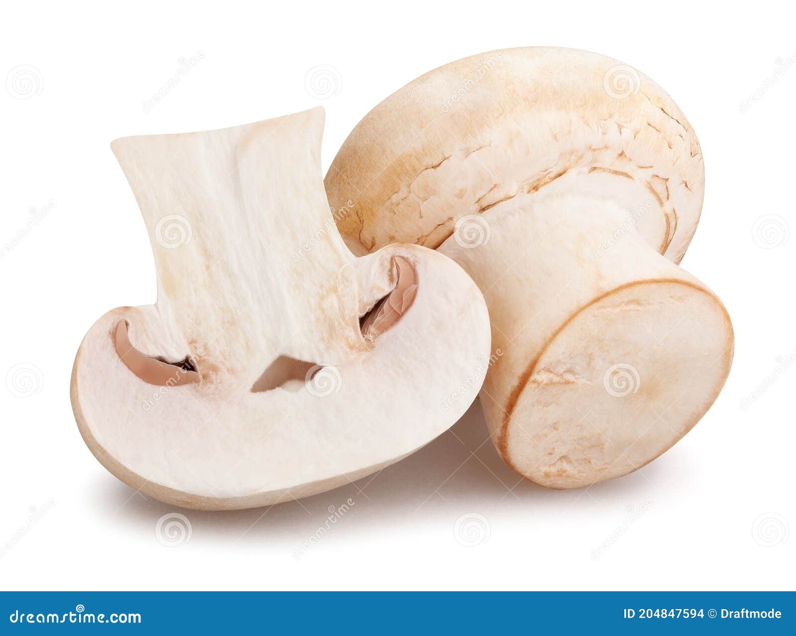 Sliced mushroom stock photo. Image of ripe, isolated - 204847594