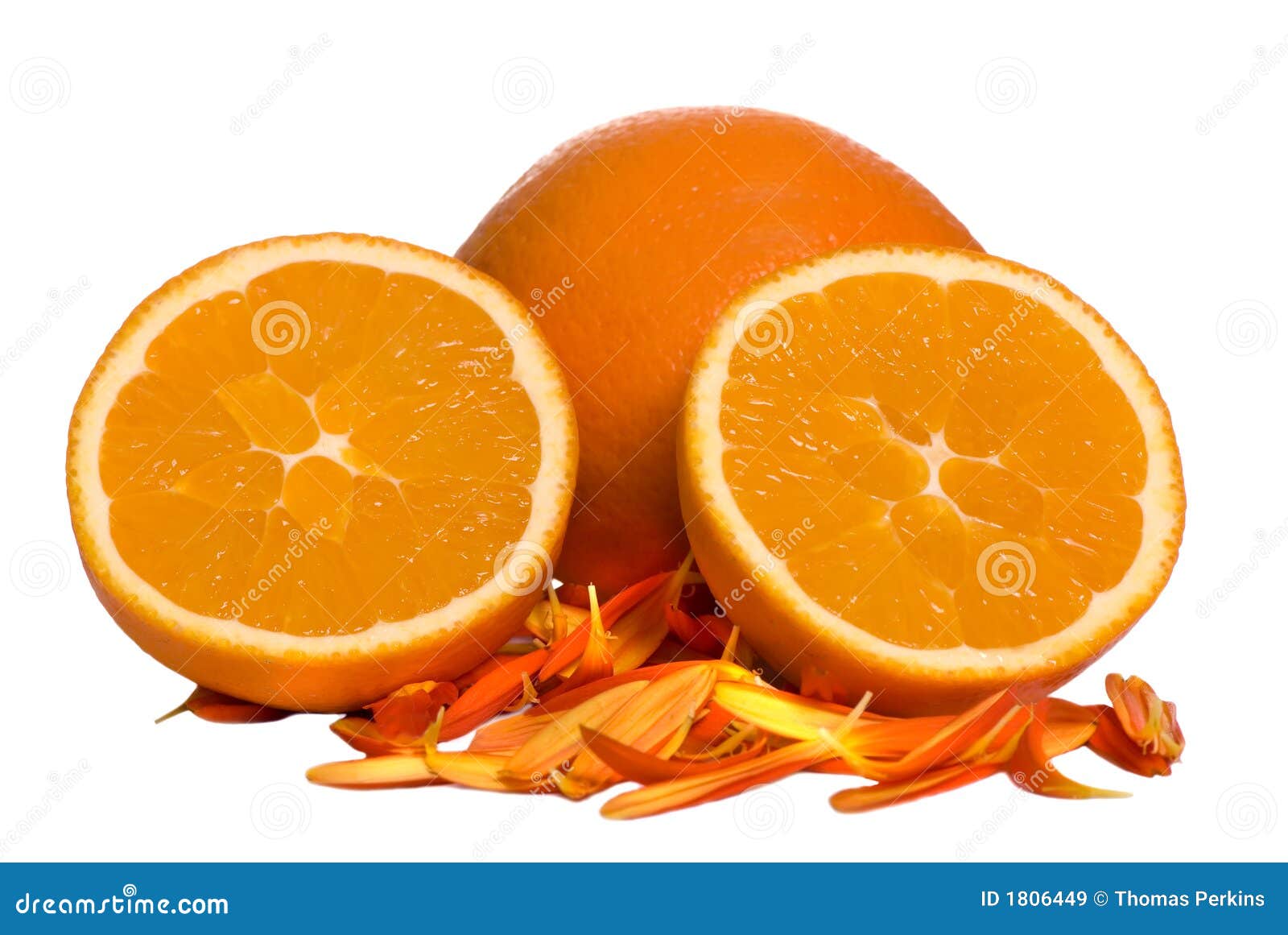 Sliced Orange stock image. Image of object, group, sliced - 1806449