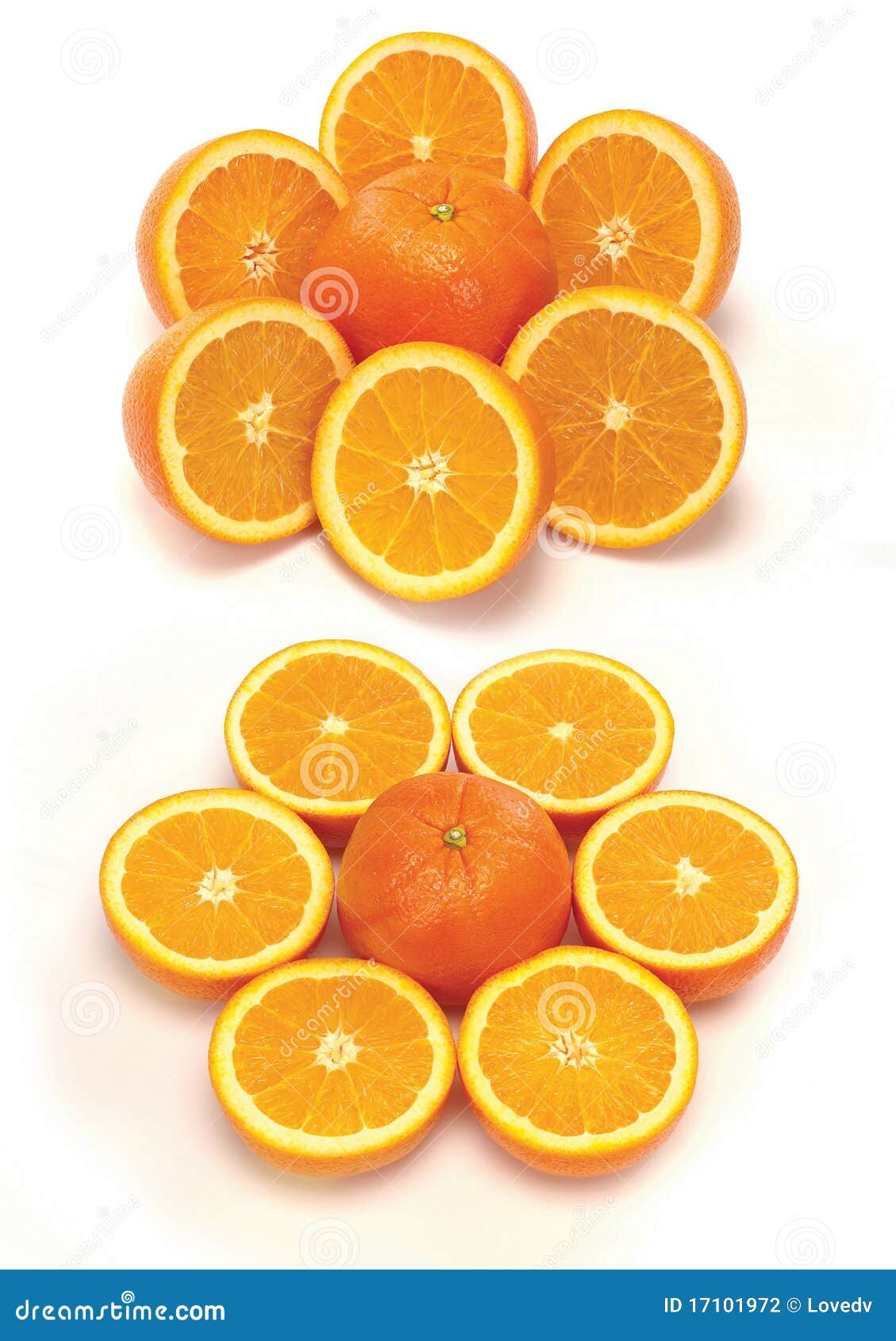 Sliced orange collection stock photo. Image of ripe, healthy - 17101972