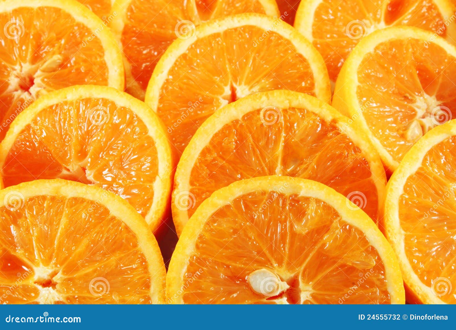 Sliced oranges closeup stock photo. Image of fruit, breakfast - 24555732