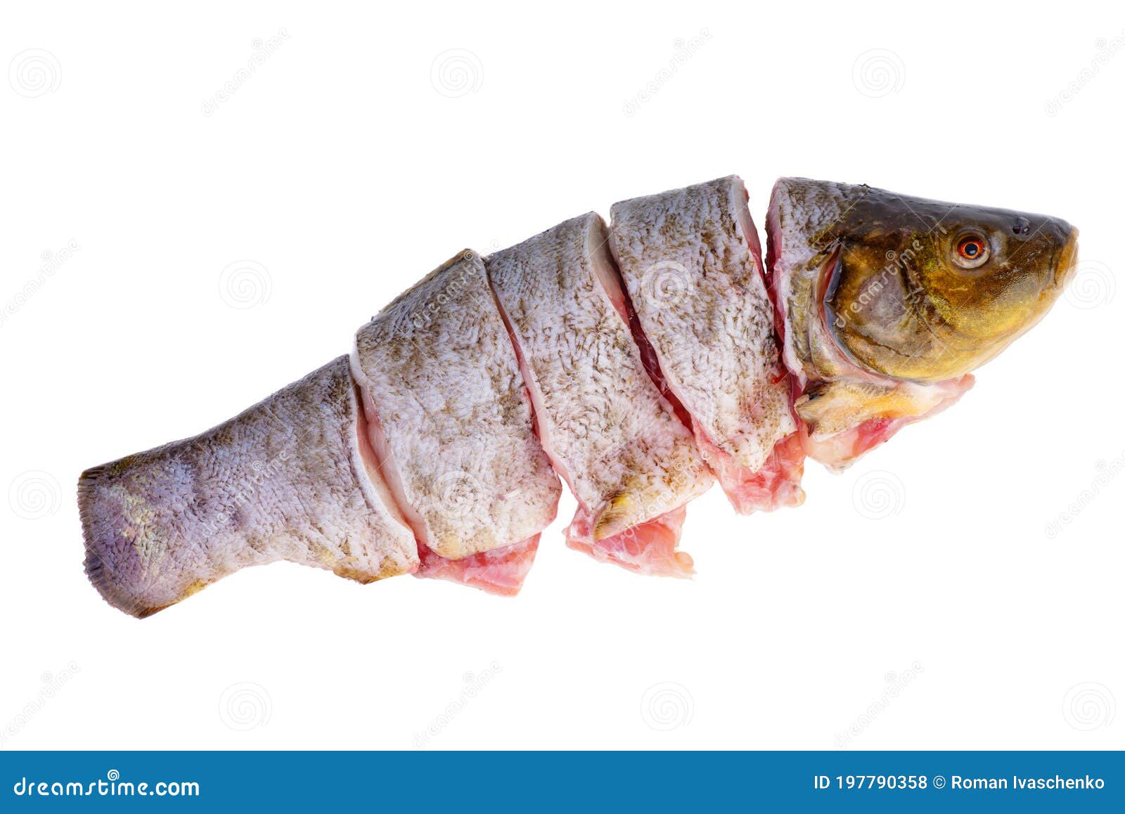 Sliced and Ready-to-cook Tench Fish Stock Photo - Image of tench, food ...