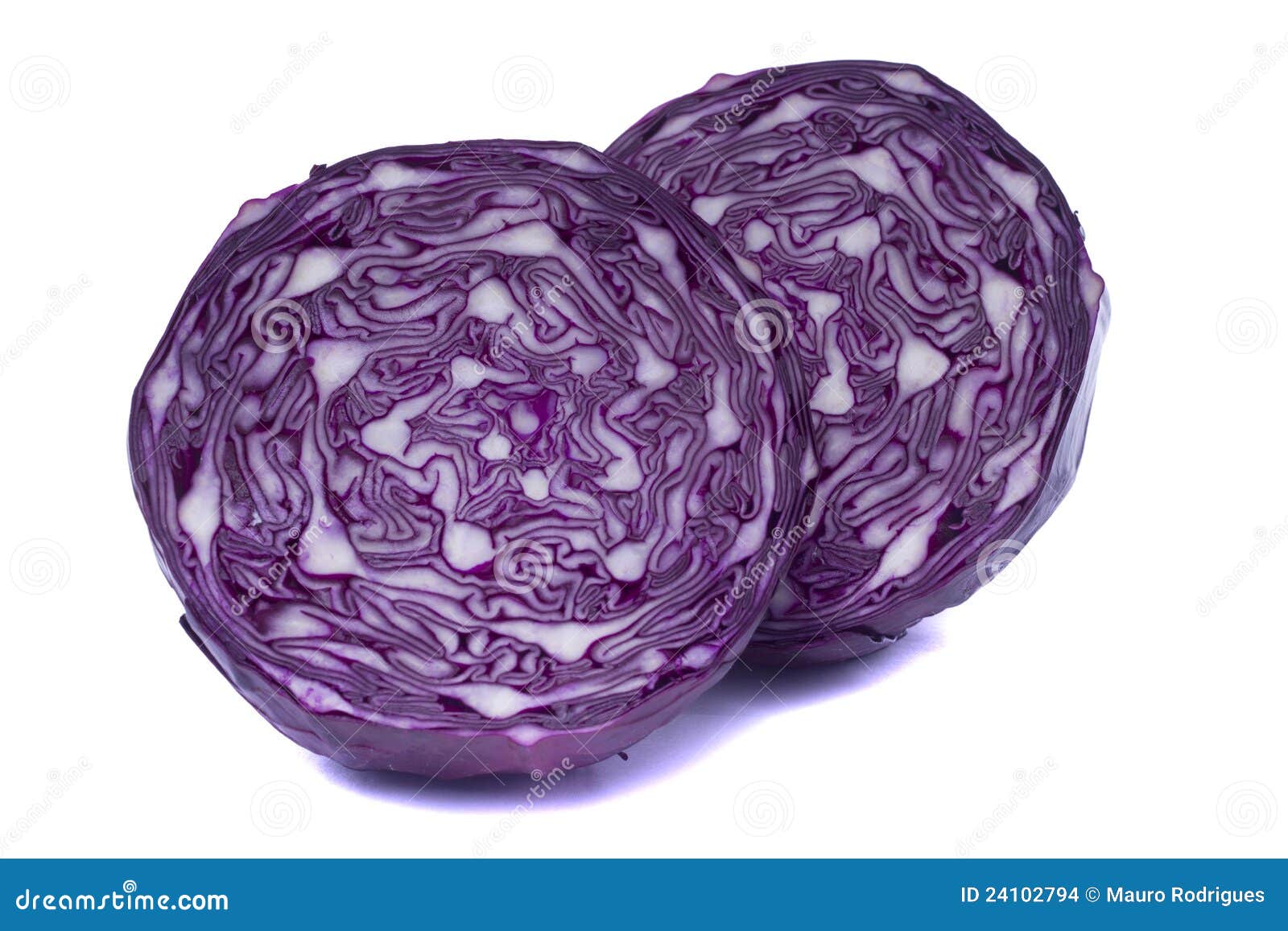 Sliced red cabbage stock photo. Image of ingredient, cabbage - 24102794 Sliced red cabbage stock photo. Image of ingredient, cabbage - 24102794