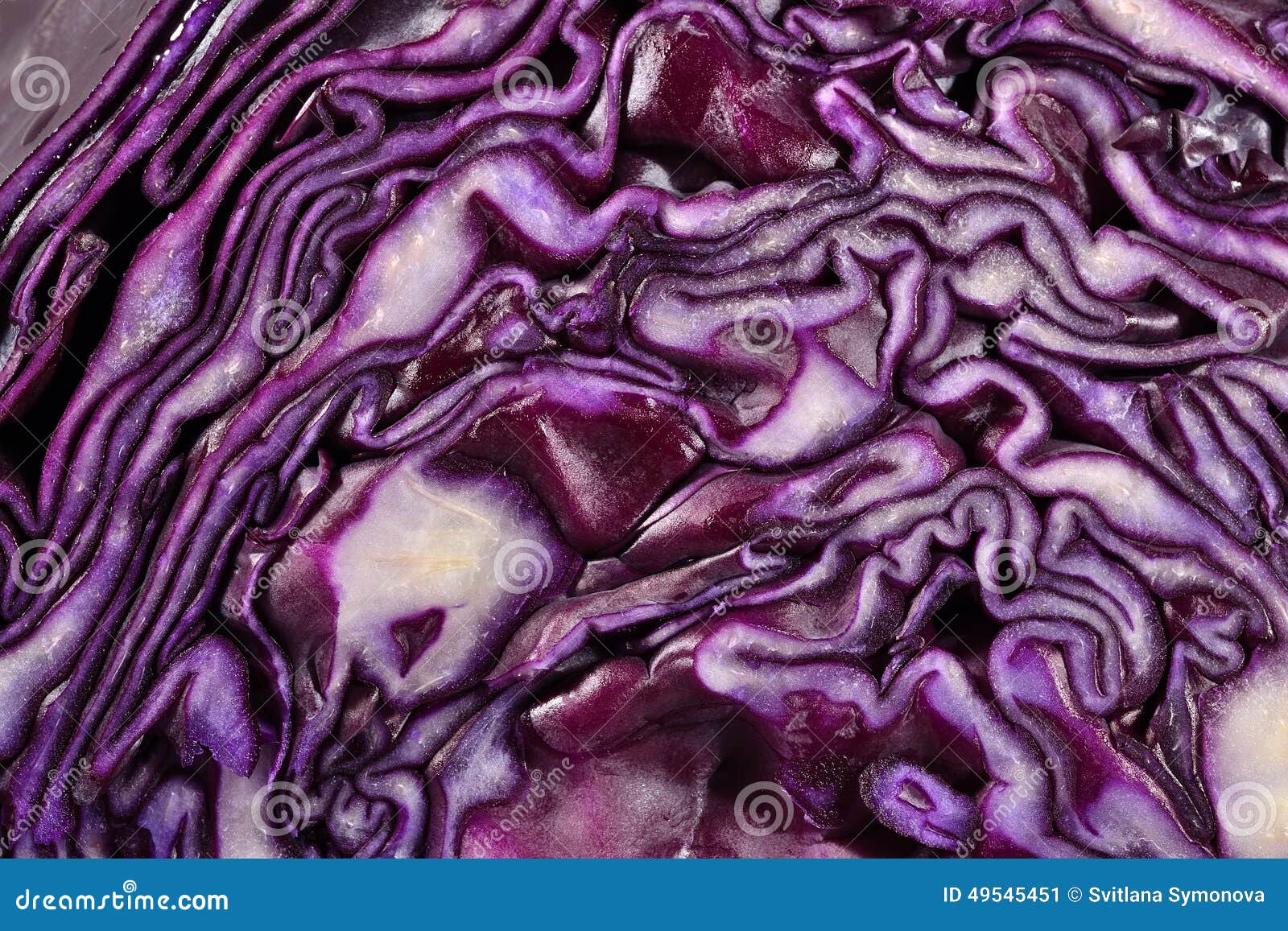 Sliced Red Cabbage Close Up Stock Image - Image of abstract, leaf: 49545451