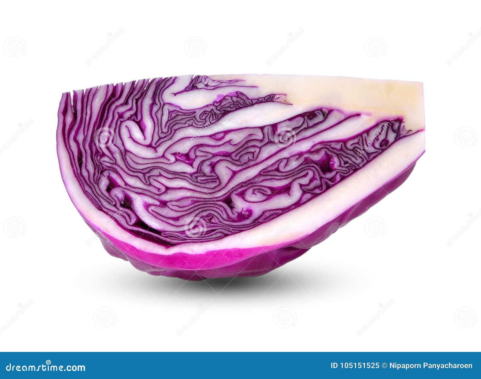 Sliced Red Cabbage Isolated Stock Image - Image of color, close: 105151525 Sliced Red Cabbage Isolated Stock Image - Image of color, close: 105151525