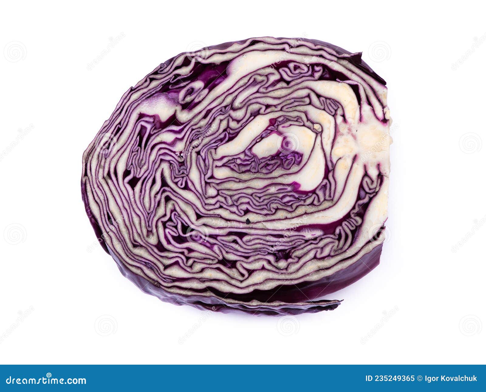 Sliced red cabbage stock image. Image of organic, fresh - 235249365