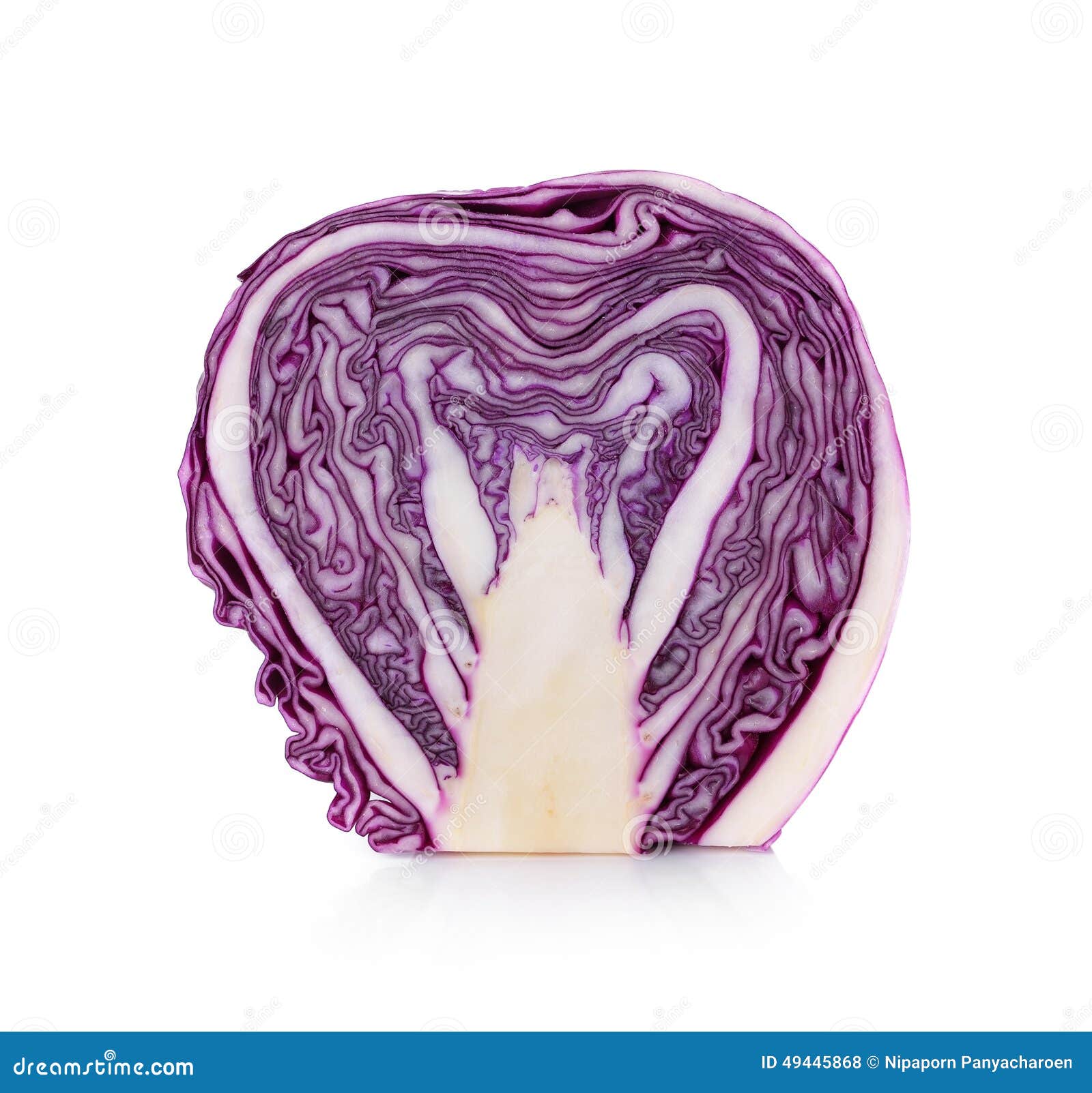 Sliced red cabbage stock photo. Image of health, beauty - 49445868