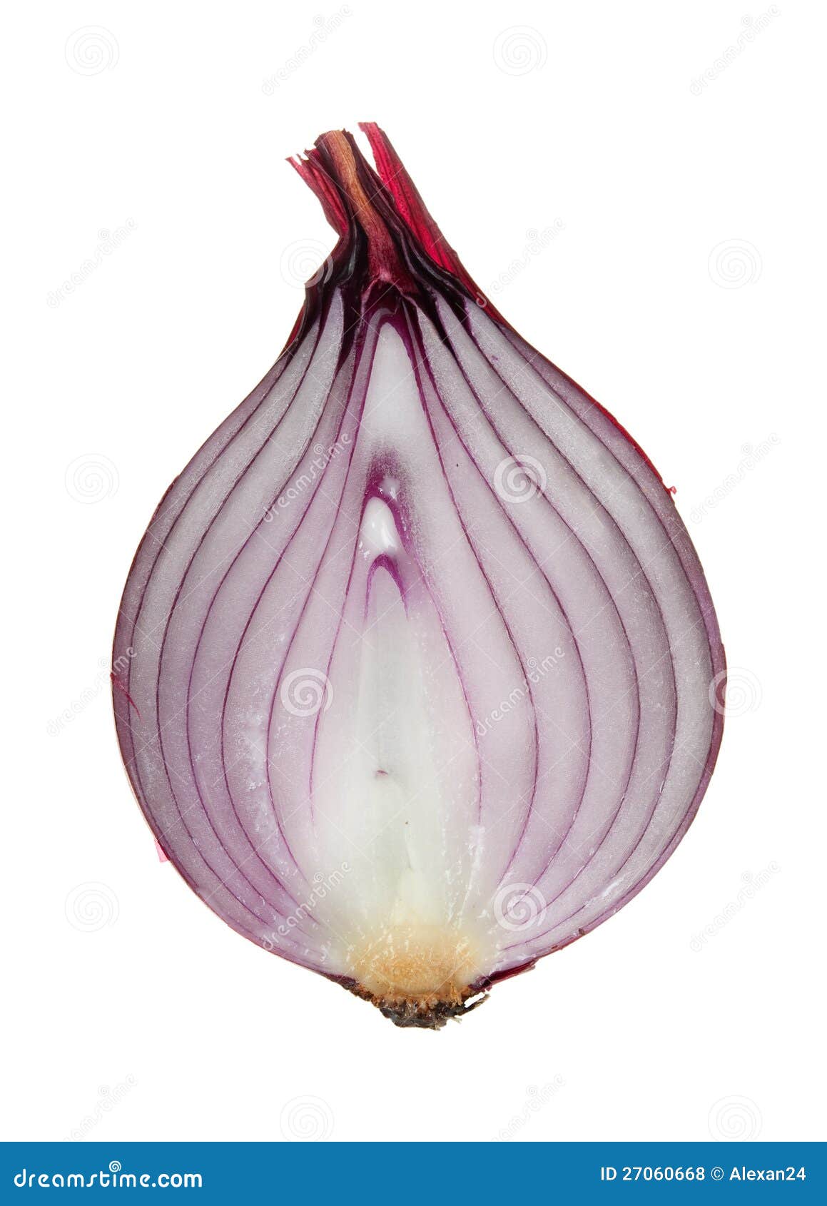 The sliced red onion stock photo. Image of healthy, detail - 27060668