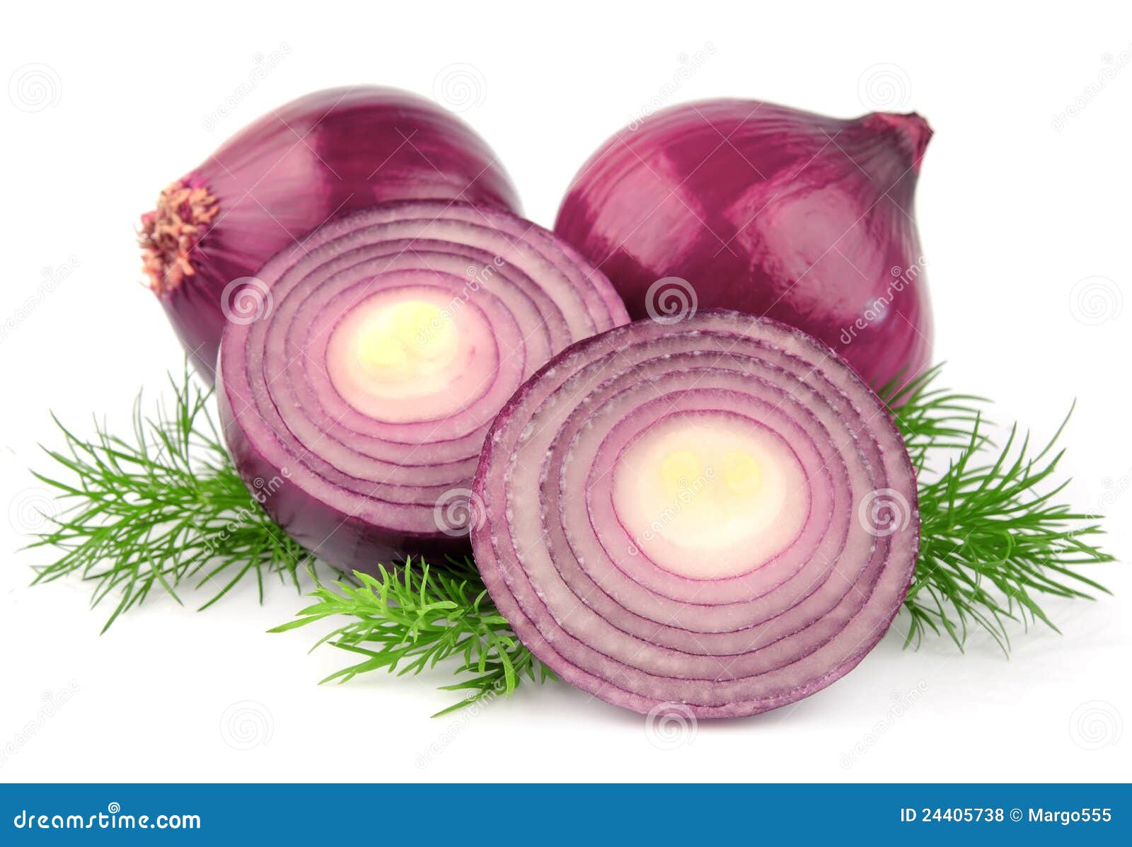 Sliced Red Onion with Fresh Dill Stock Photo - Image of onion, green ...