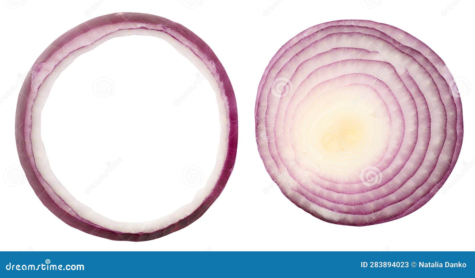 Sliced Red Onion Rings, Vegetable Isolated on White Background, Set ...