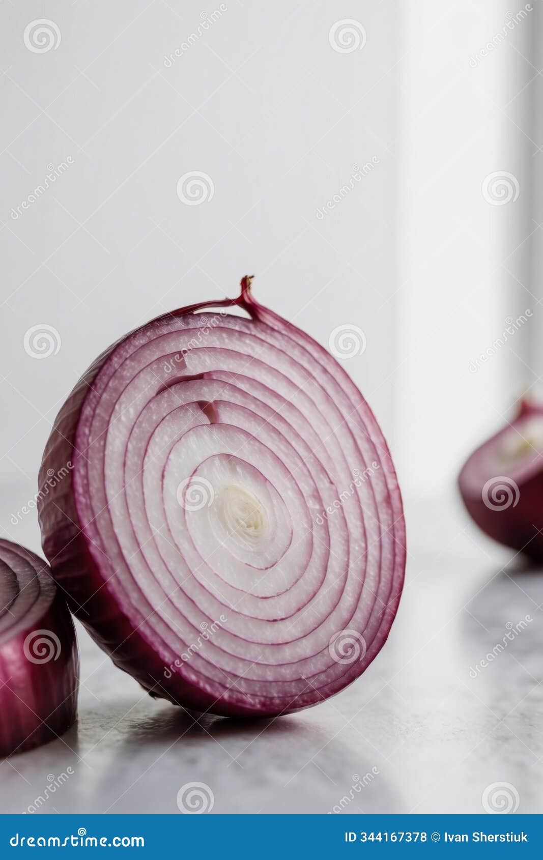 Concentric Rings Of Apical Meristem Cells In A Stem Indicating A ...