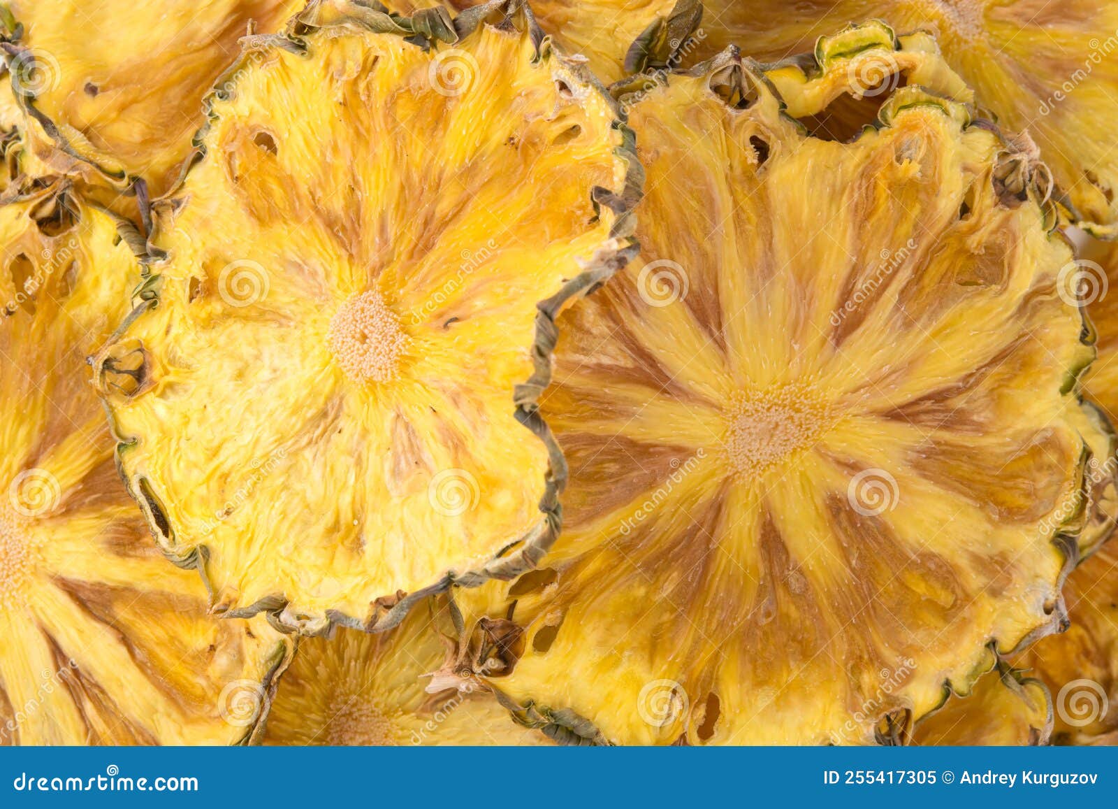 Sliced Round Pieces of Dried Pineapple, Close-up, Background Stock ...