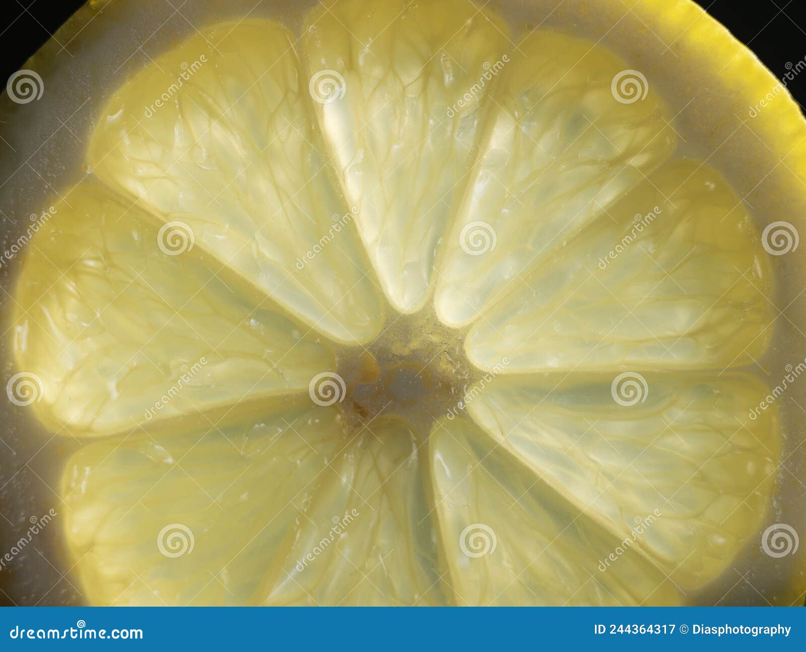 A Single Lemon Slice on a Black Background. Stock Image - Image of ...