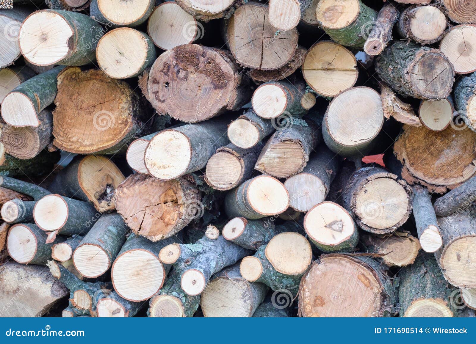 Sliced Tree Logs on Top of Each Other Stock Photo - Image of cross ...