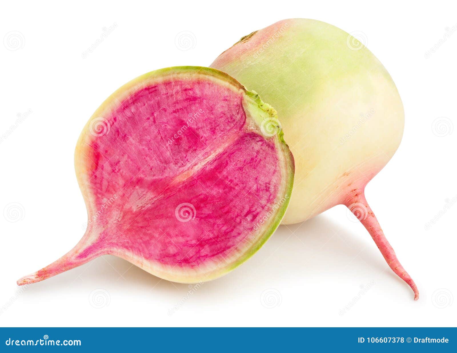 Turnip stock photo. Image of diet, cutout, studio, root - 106607378