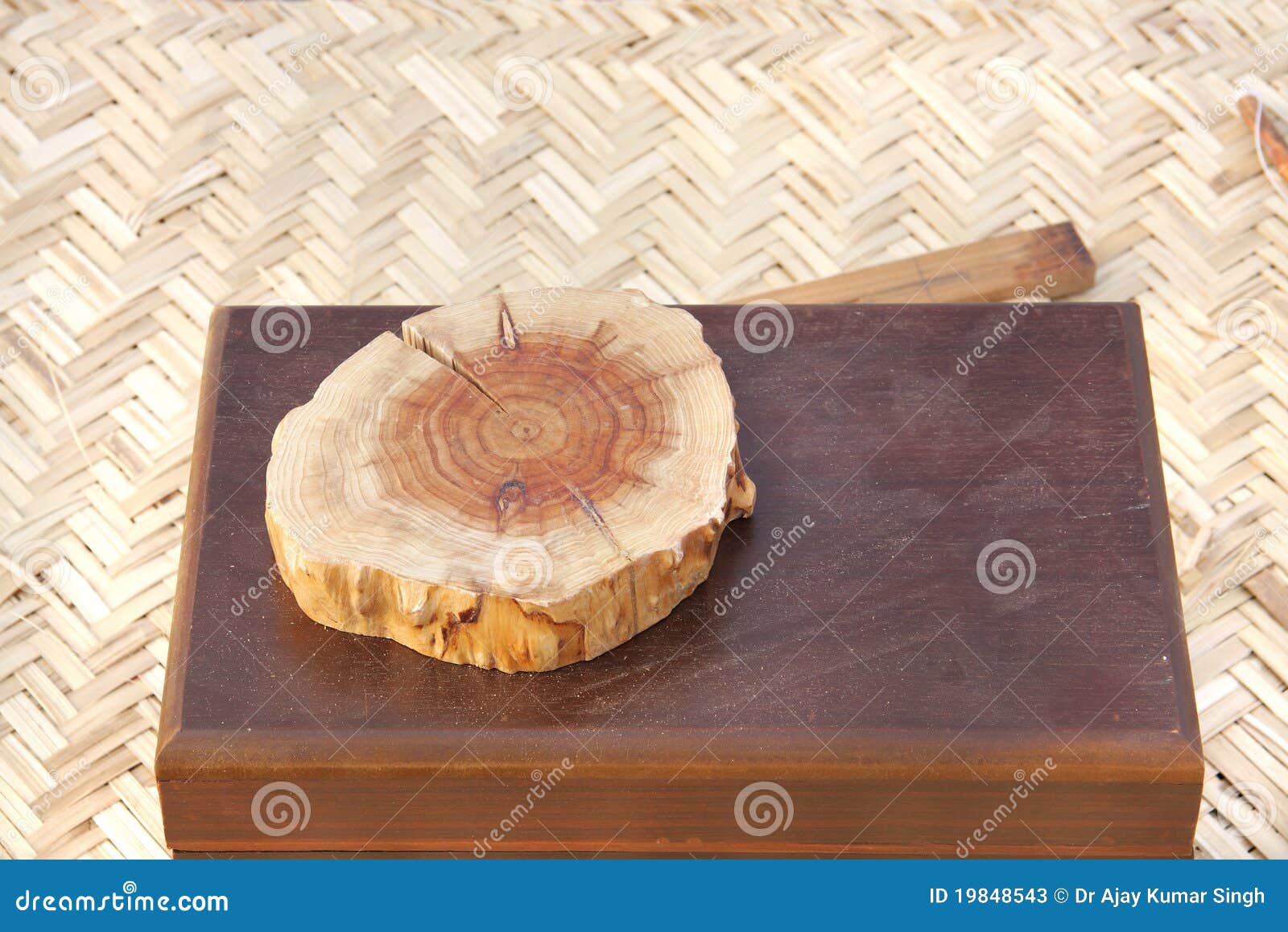 Sliced Wooden Log Base Used for Drilling Pearl Stock Image - Image of ...