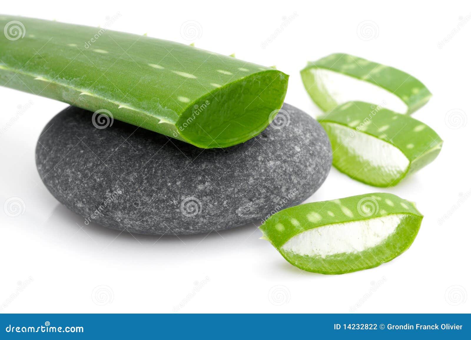 Slices of aloe vera stock photo. Image of aloe, fresh - 14232822