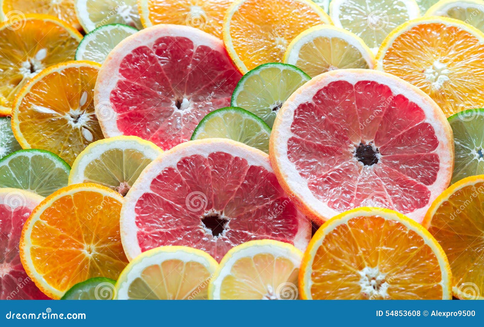 Slices of citrus fruits stock photo. Image of fruits - 54853608