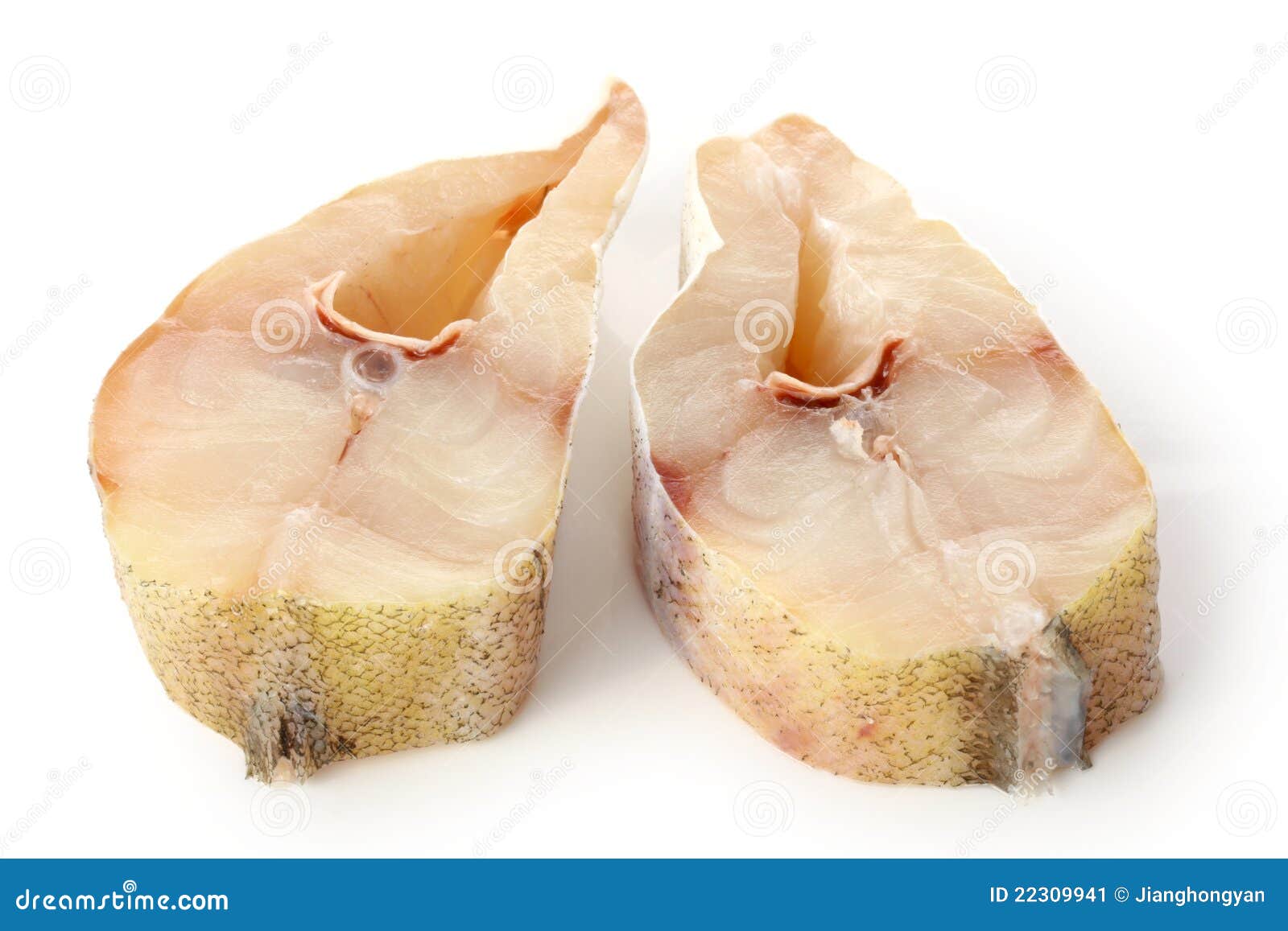 SLICES of FISH stock image. Image of chef, protein, nutrition - 22309941