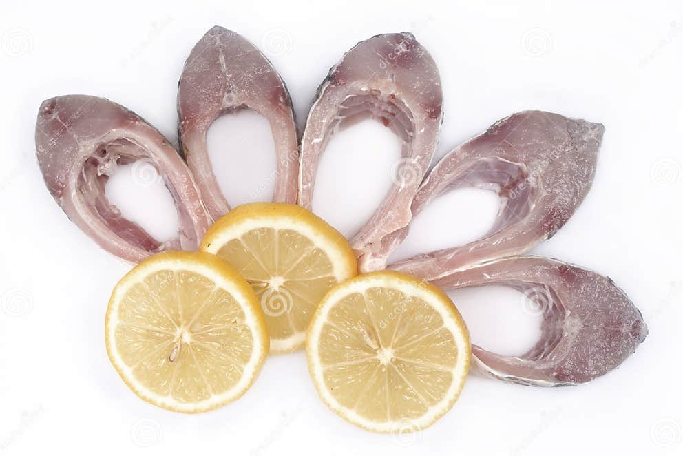 Slices of fish and lemon stock image. Image of studio - 4281751