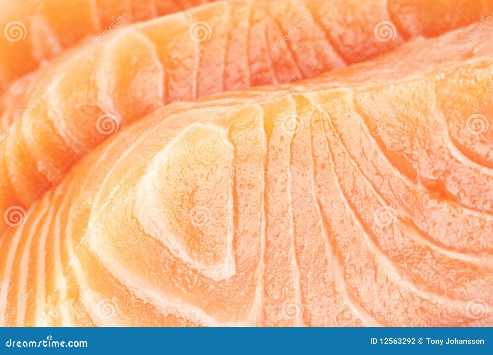 Slices of fresh fish stock photo. Image of animal, ingredient - 12563292