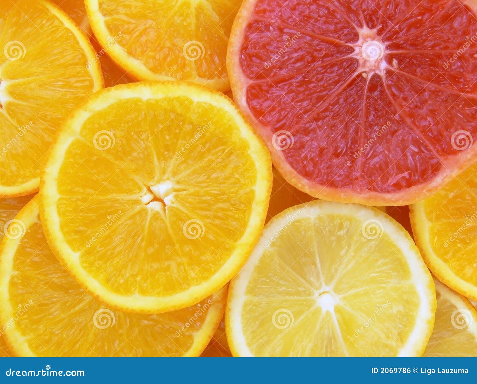 Slices of fruits stock photo. Image of food, tasty, slices - 2069786