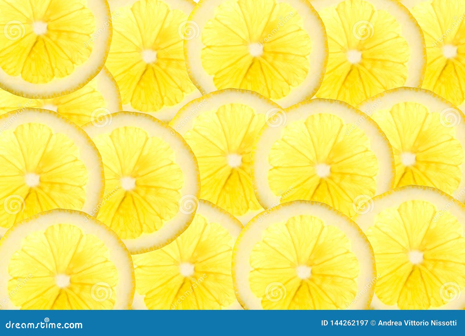 Slices of Lemon in Transparency with Copy Space for Your Text Stock ...