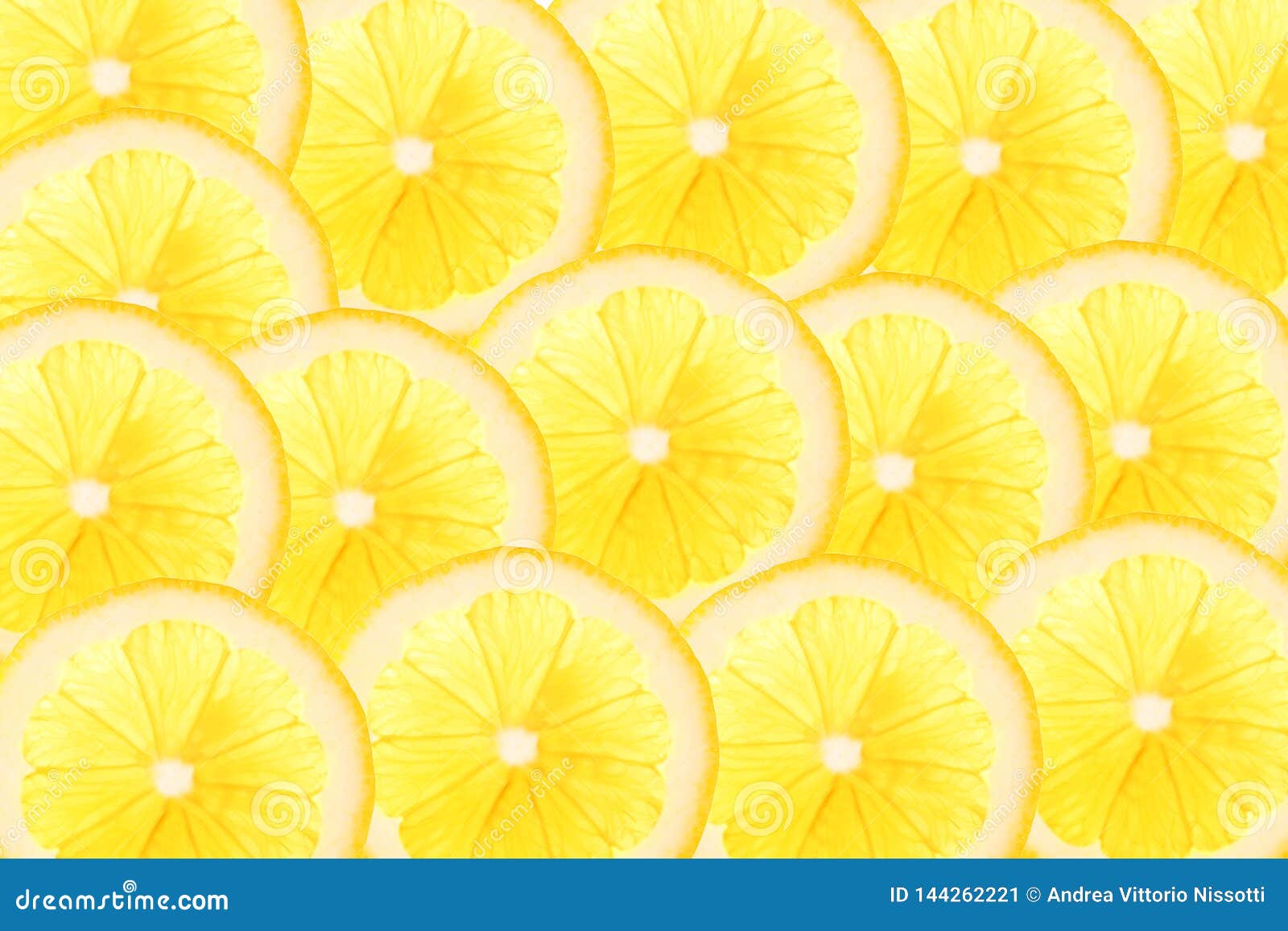 Slices of Lemon in Transparency with Copy Space for Your Text Stock ...